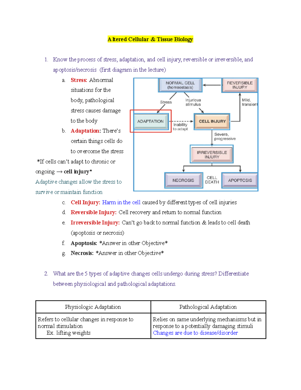 New Study Guide for Exam 2 - Altered Cellular & Tissue Biology Know the ...