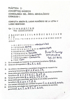 Preformismo y epigenesis en la historia de la embriologia ...