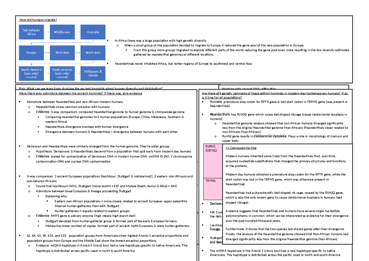 Human Orgins Short - Notes that I made - Pink: What can we learn from ...