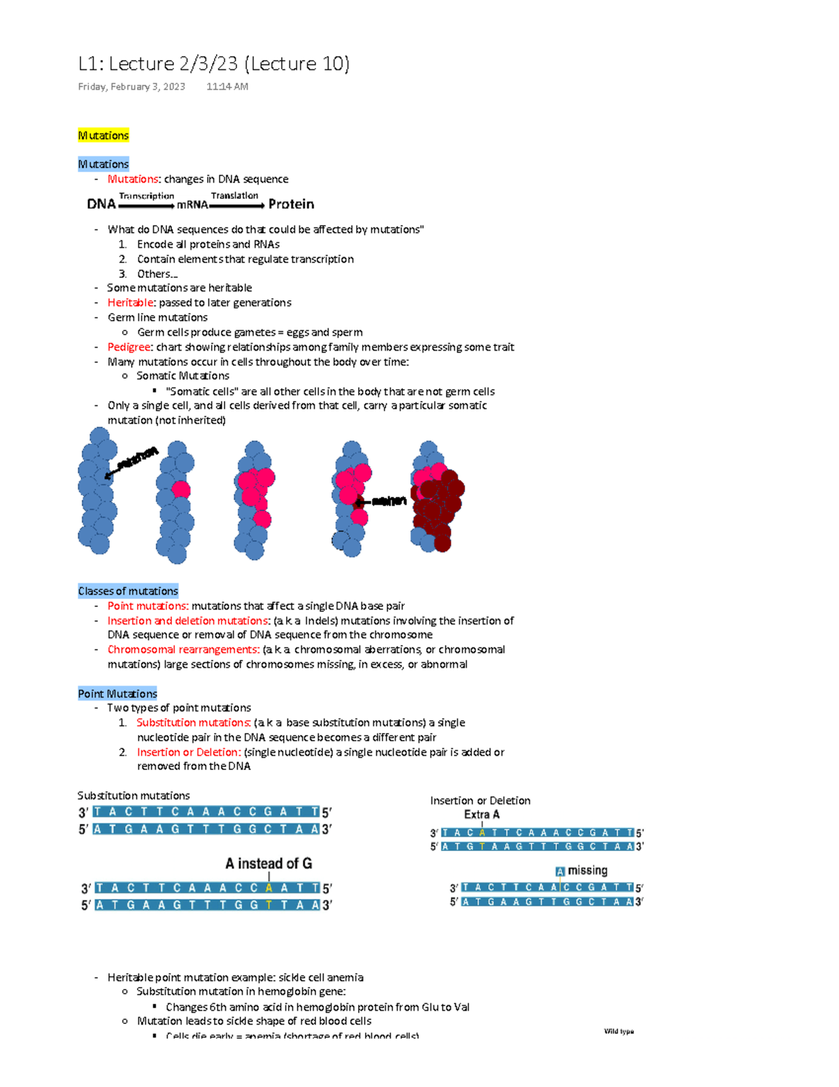 Biology 107 Lecture 10 - Mutations Mutations - Mutations: changes in ...