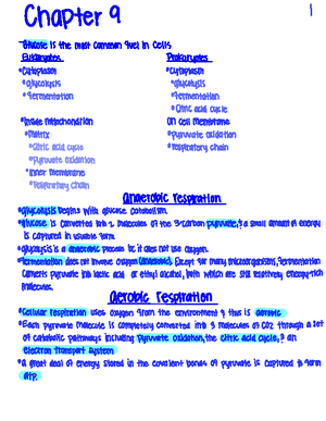 General Bio 101 Ch.5 Notes - General Biology 101 Lecture Chapter 5 ...