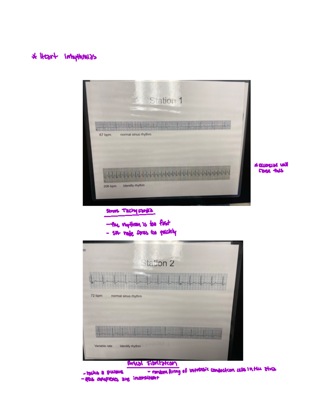 Lab 3 wrap up - Complete summary of lab 3 with extra study materials ...