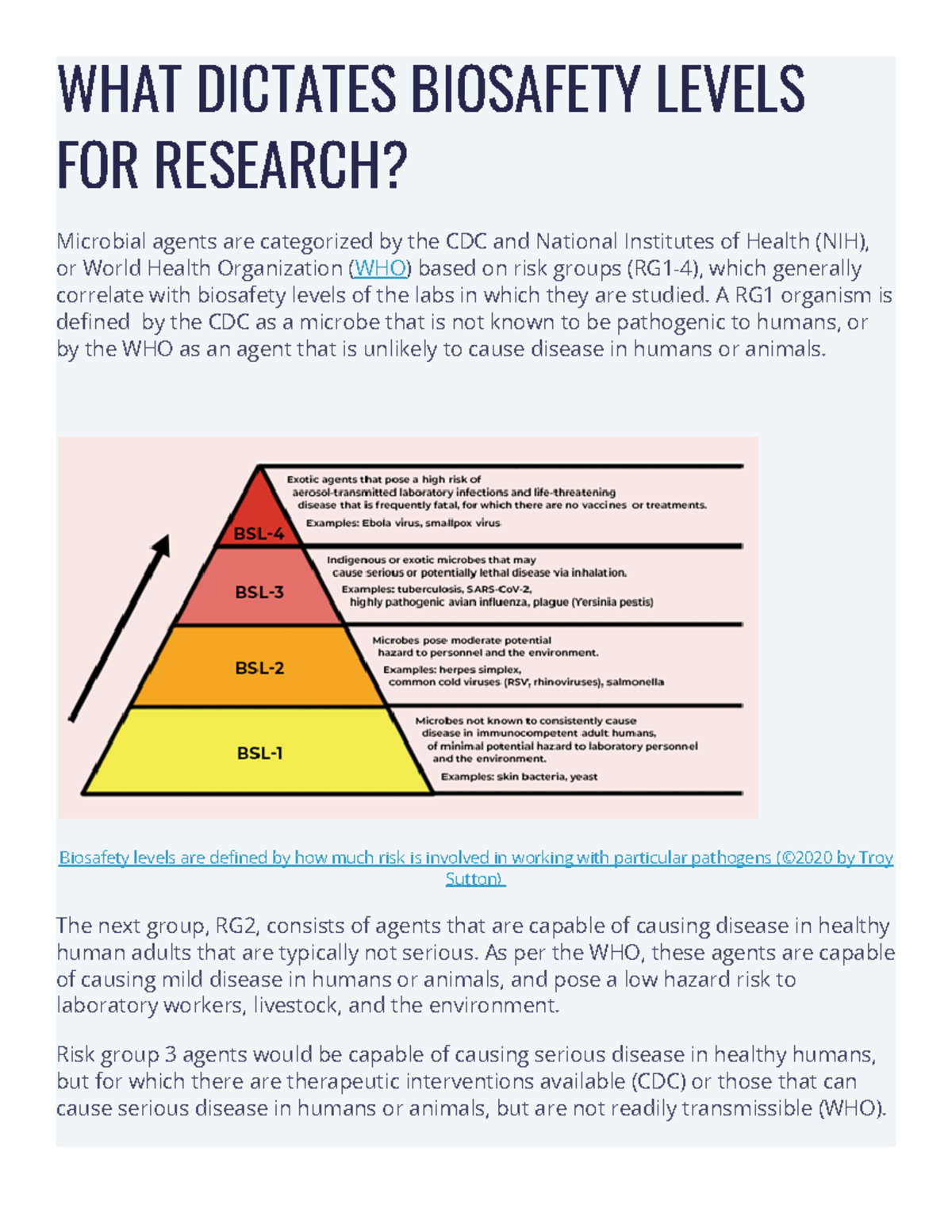 BSL info - BSL practice sheets info - WHAT DICTATES BIOSAFETY LEVELS ...