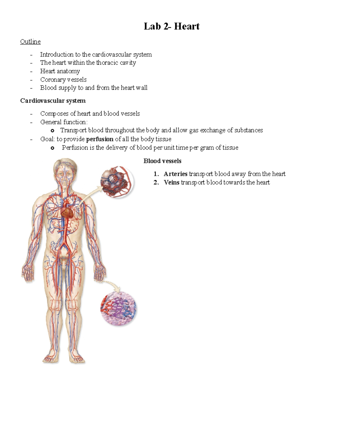 Lab 2 - lab2 - Lab 2- Heart Outline - Introduction to the ...