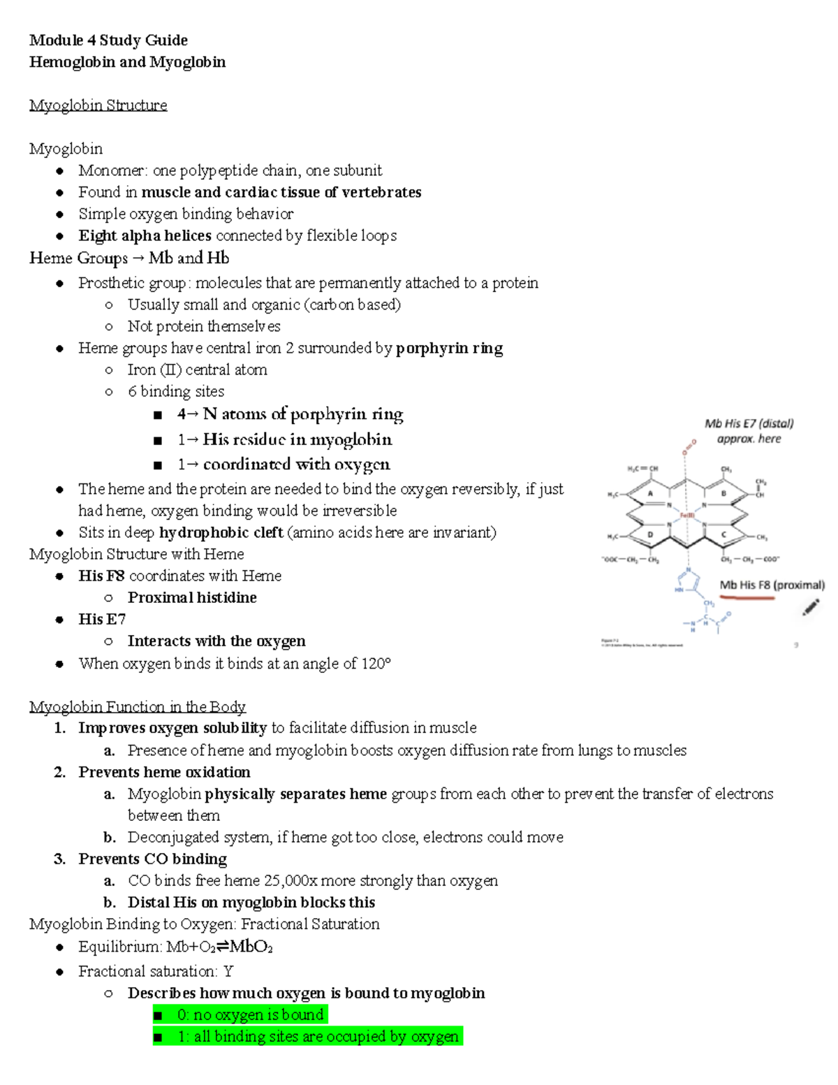 Module 4 Study Guide - Module 4 Study Guide Hemoglobin and Myoglobin ...
