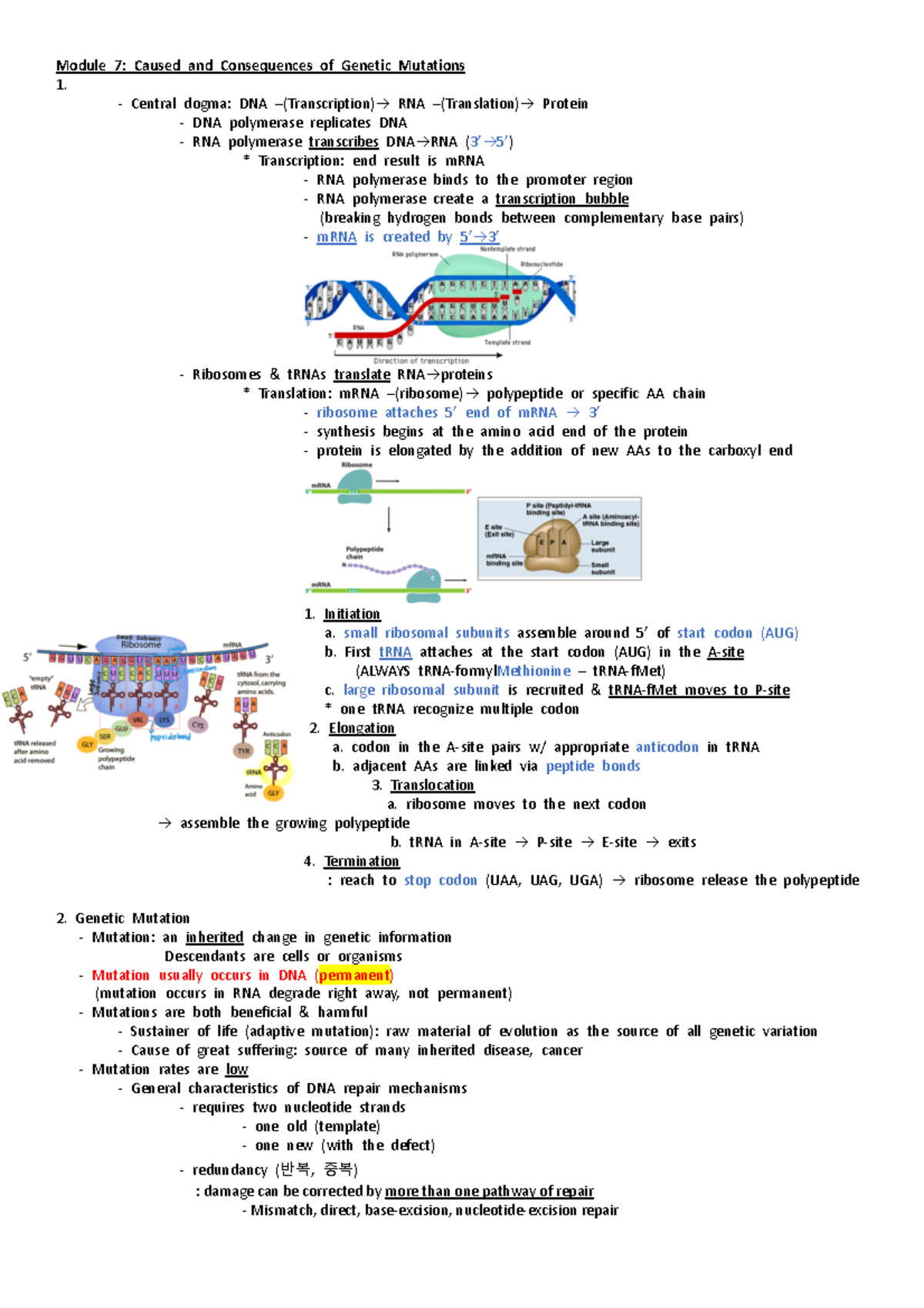 GEN Exam#3 - Notes by following study guide - Module 7: Caused and ...