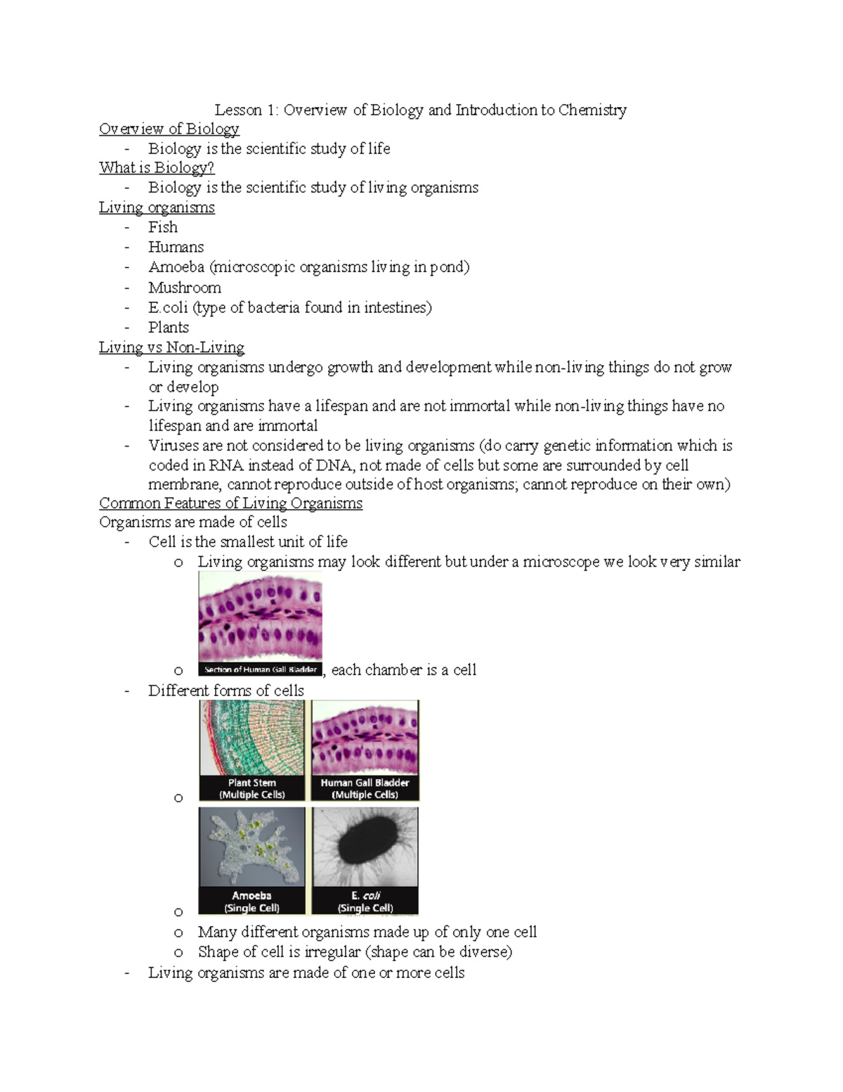 Lesson 1 - Lecture notes 1 - Lesson 1: Overview of Biology and ...