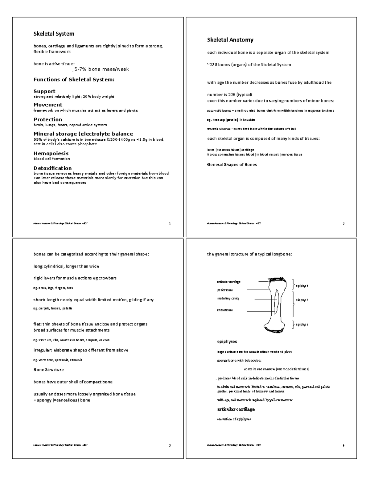 Anatomy Skeletal system - Human Anatomy & Physiology: Skeletal System ...