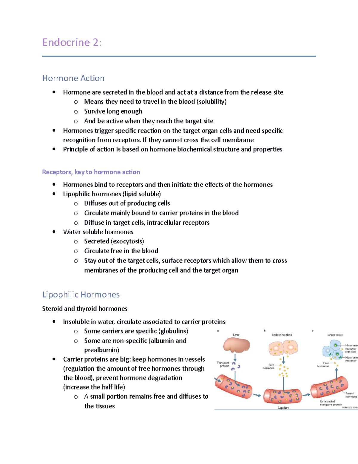 ANSC3080 Endocrine 2 - lecture notes, - Endocrine 2: Hormone Action ...
