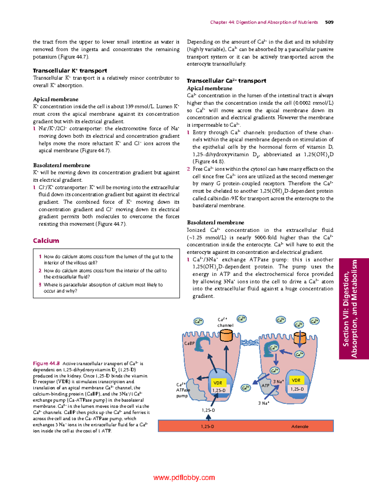 Text book-523 - Tugas lab - Chapter 44: Digestion and Absorption of Nutrients 509 Section VII ...