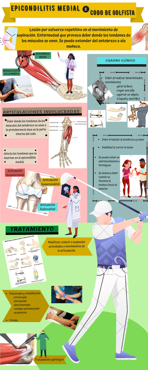 Infografía-Lesión-medular - La lesión de la medula espinal es un daño ...