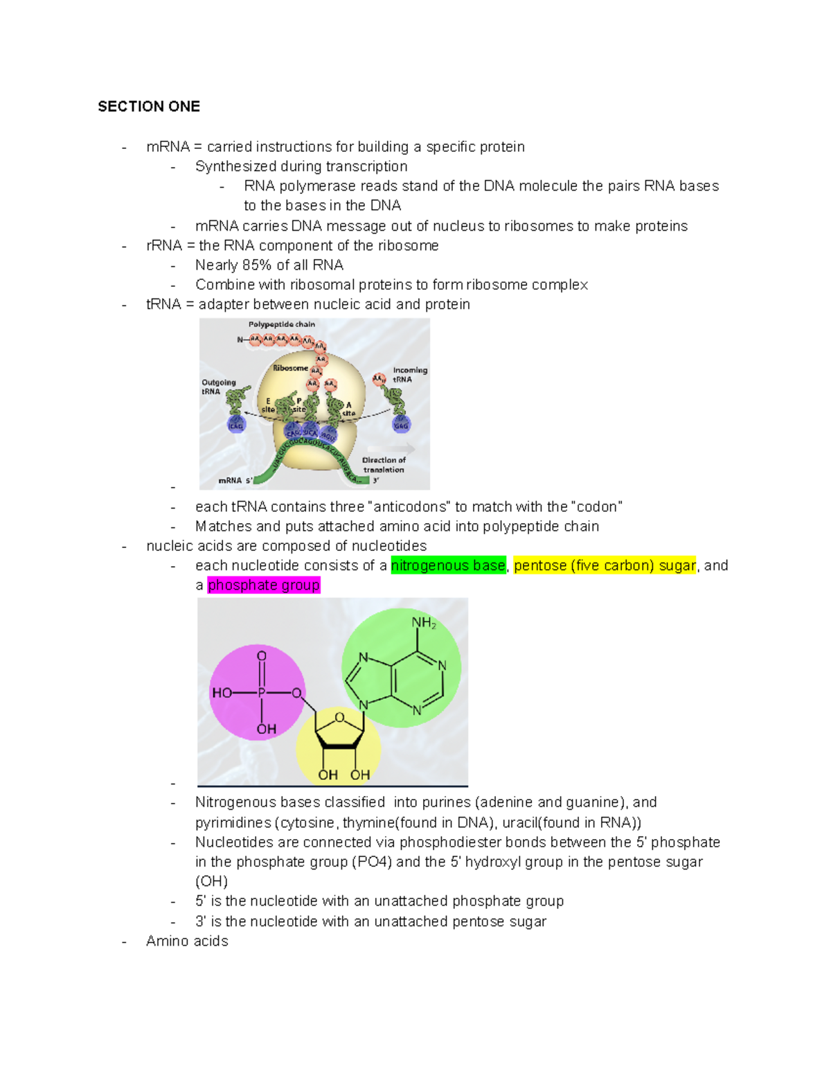 Bchm 218 mod 1 - module 1 summary for molecular biology (midterm study ...