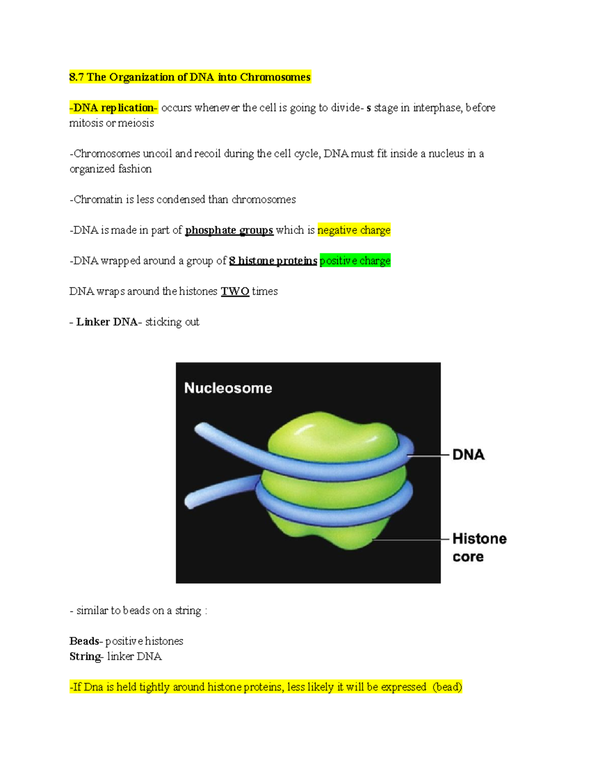 Genetics chapter 9 - Professor is Carroll - 8 The Organization of DNA ...
