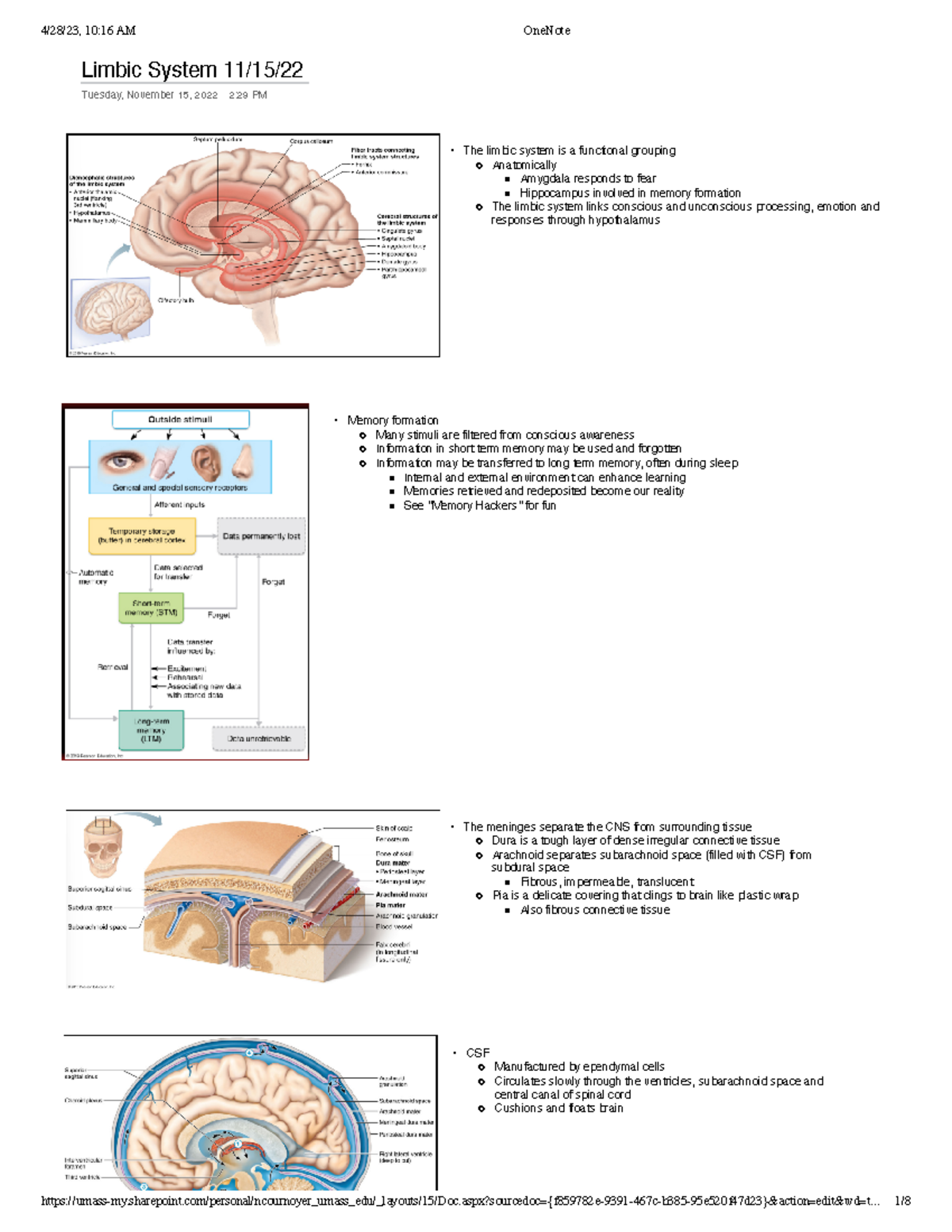 Kin270 Limbic System Lecture Notes - Limbic System 11/15/ Tuesday ...