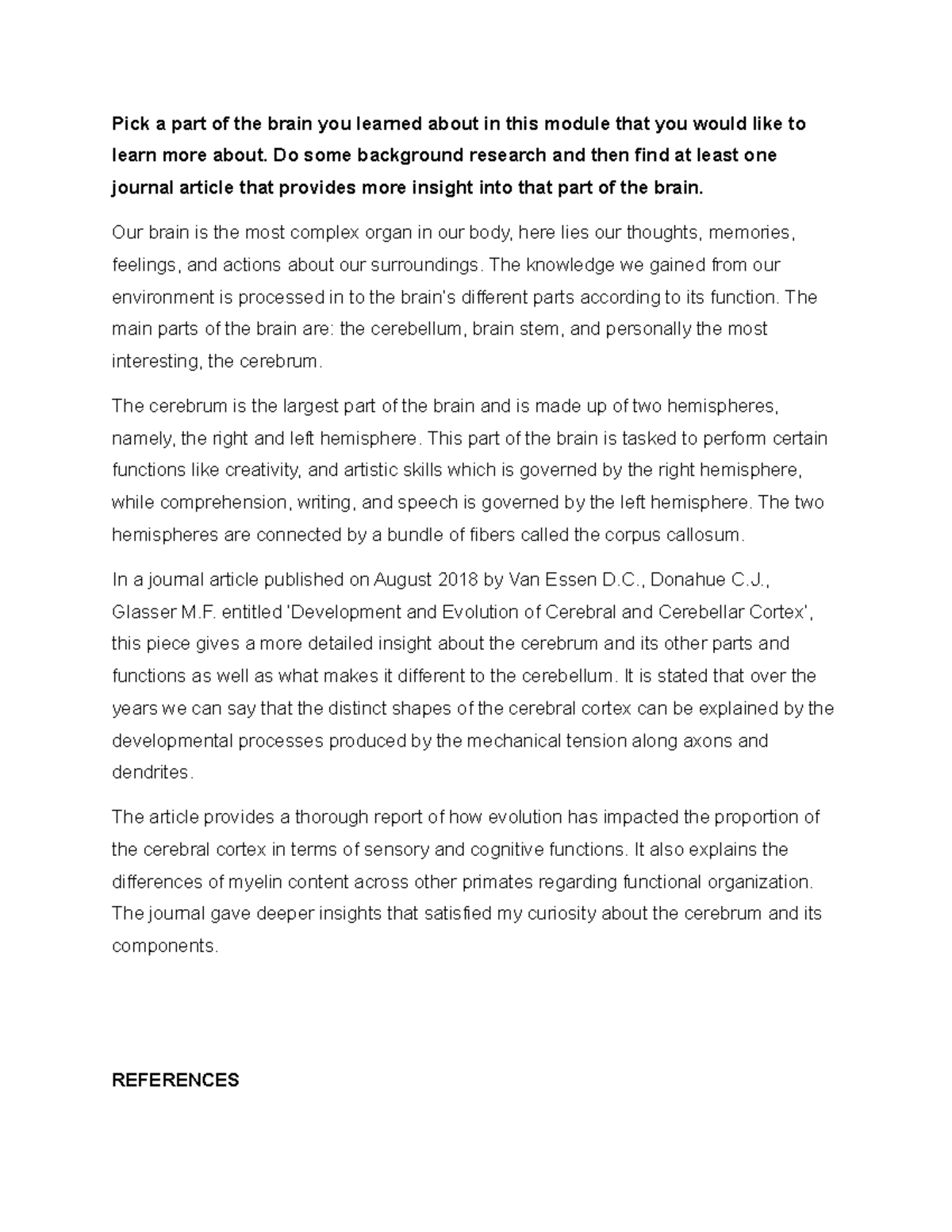 Essay about the cerebrum - Pick a part of the brain you learned about ...