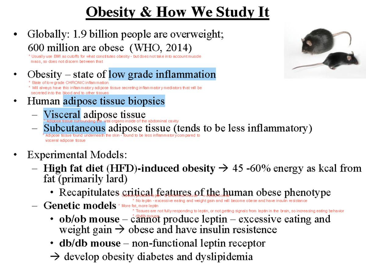 Lecture notes, lectures 8 - Obesity Part 1 - Obesity How We Study It ...
