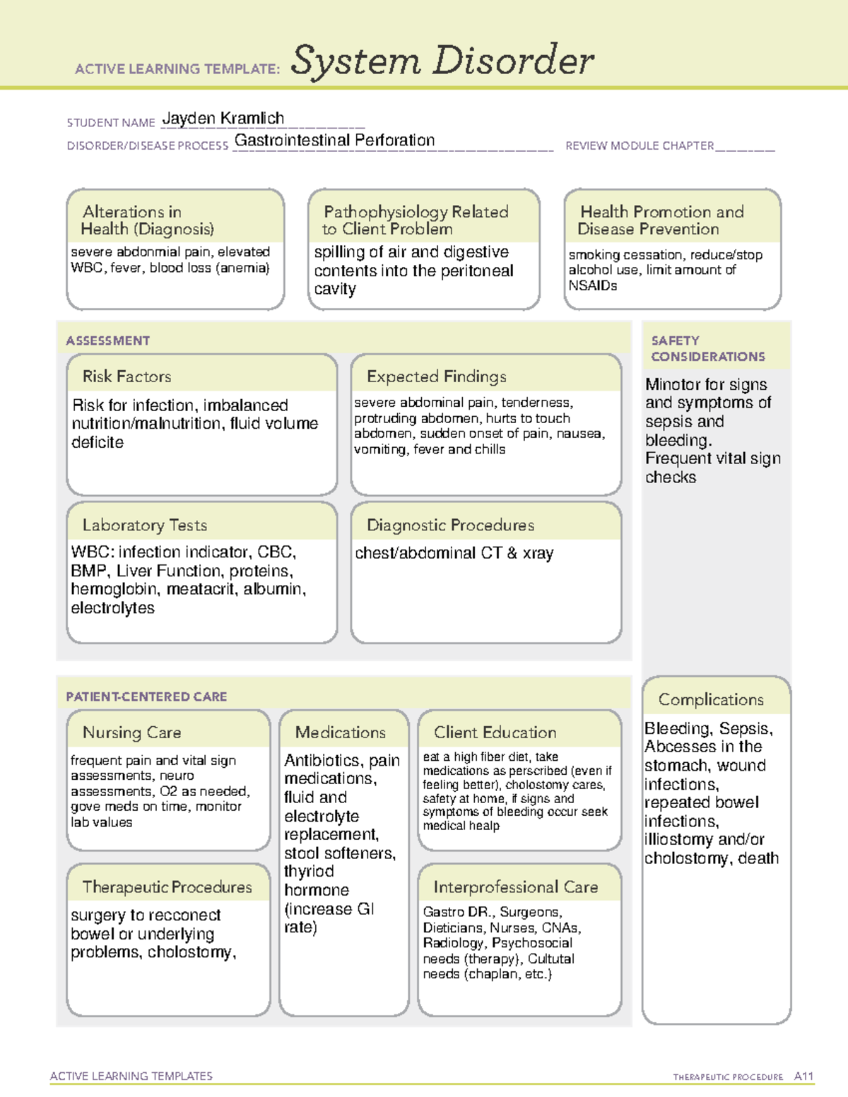 Bowel Perforation Active Learning Template - ACTIVE LEARNING TEMPLATES ...