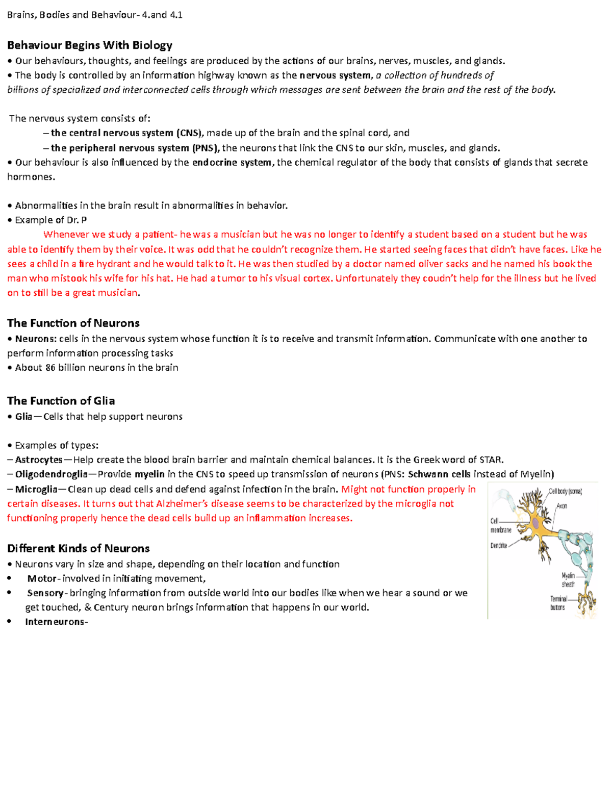Brains, Bodies and Behaviour - Behaviour Begins With Biology Our ...