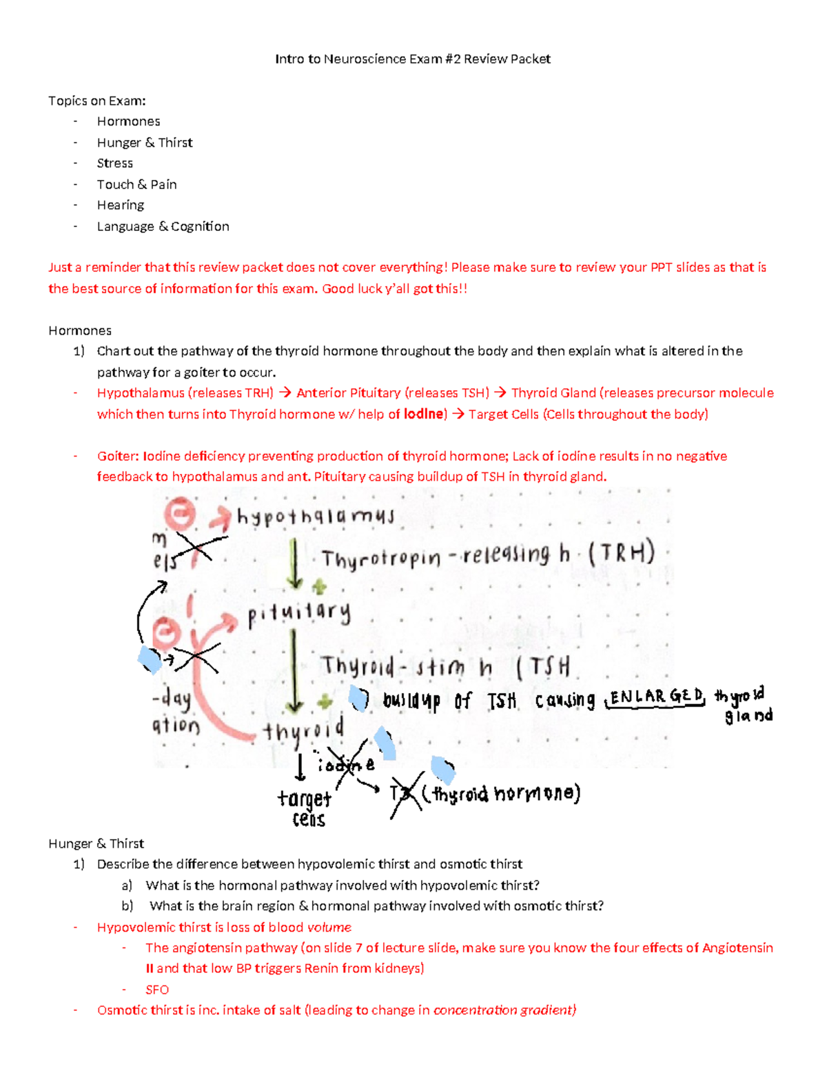 Exam 2 Review Key - Intro to Neuroscience Exam #2 Review Packet Topics ...