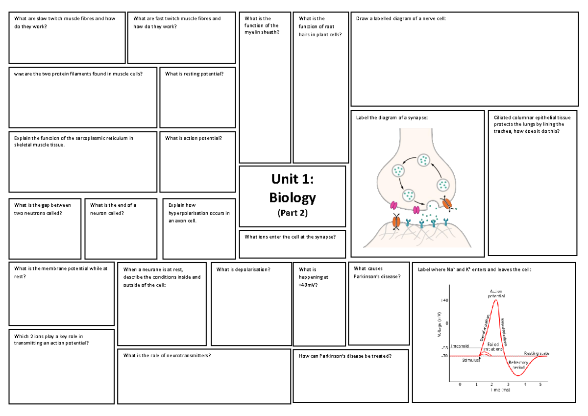 Revision-Mindmap-Biology - Unit 1: Biology (Part 2) What is the Draw a ...