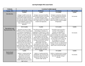 Learning Window Unit Plan Template - Learning Window Unit Plan TEMPLATE ...