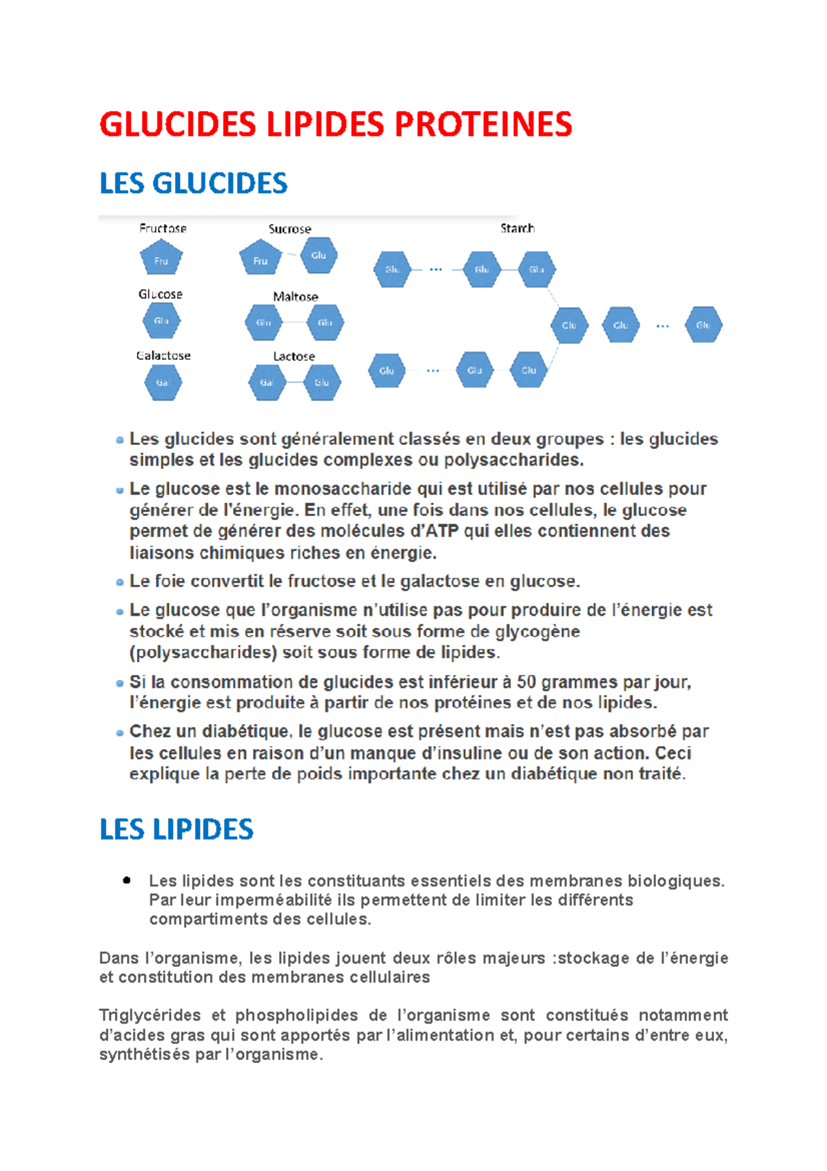 Glucides Lipides Proteines. Cellules - GLUCIDES LIPIDES PROTEINES LES ...