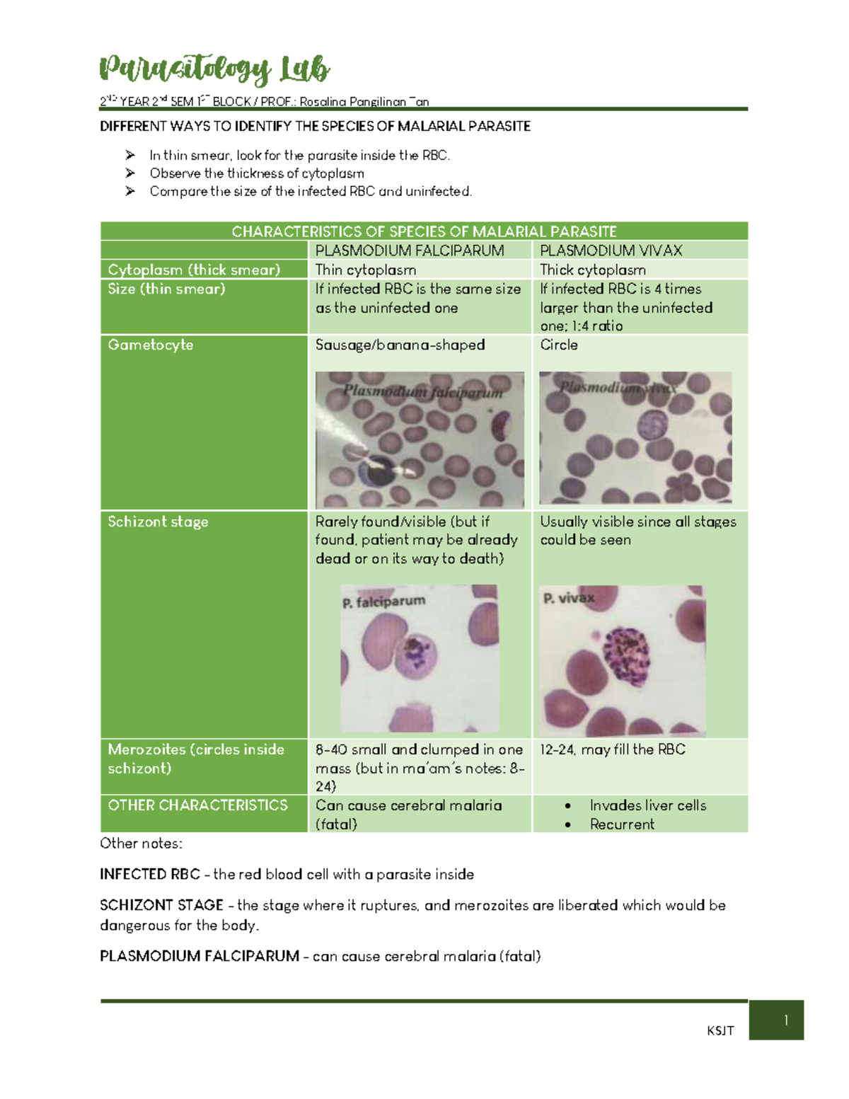 PARA LAB Thick and Thin Smear P - Parasitology Lab 2 ND YEAR 2nd SEM ...