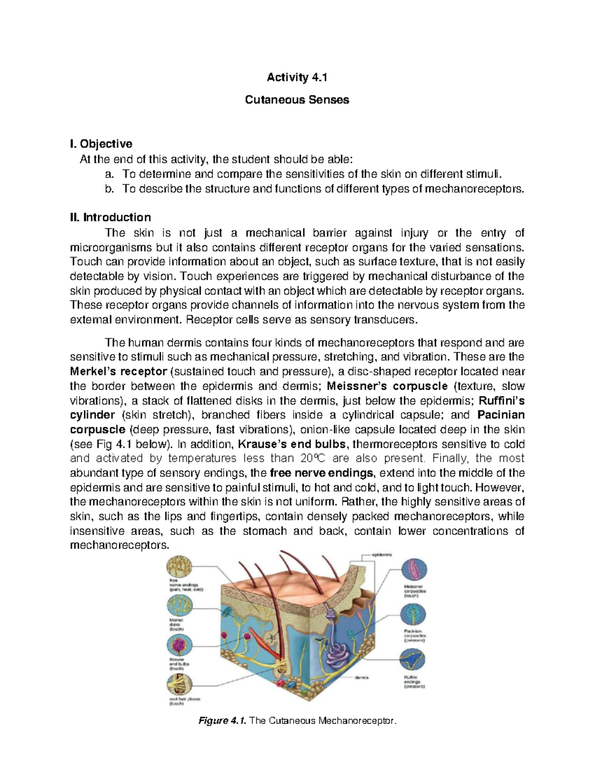Activity-4 - Lab activity about cutaneous senses. - Figure 4. The ...