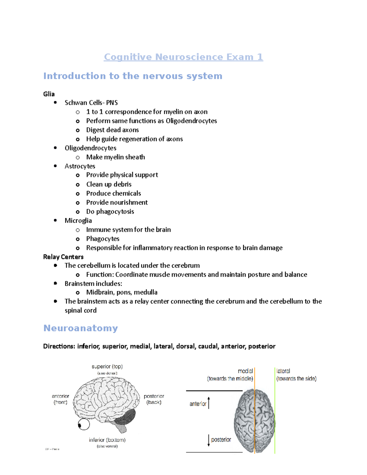 Cog Neuro study Guide 1 - Cognitive Neuroscience Exam 1 Introduction to ...