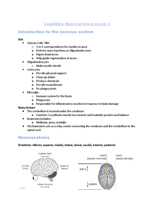 Cog Neuro exam 2 Study Guide - Cog Neuro Exam 2 Study Guide Chapter 6: Attention and its Effects ...