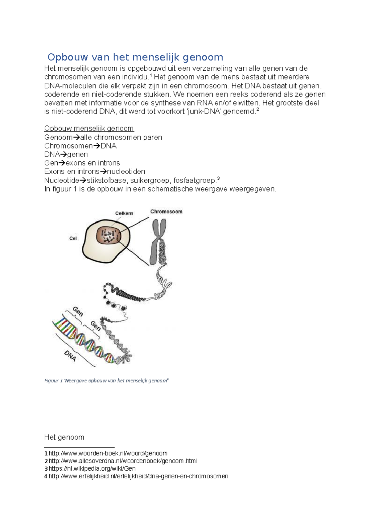 Menselijk genoom-STR-identificatie - Opbouw van het menselijk genoom ...