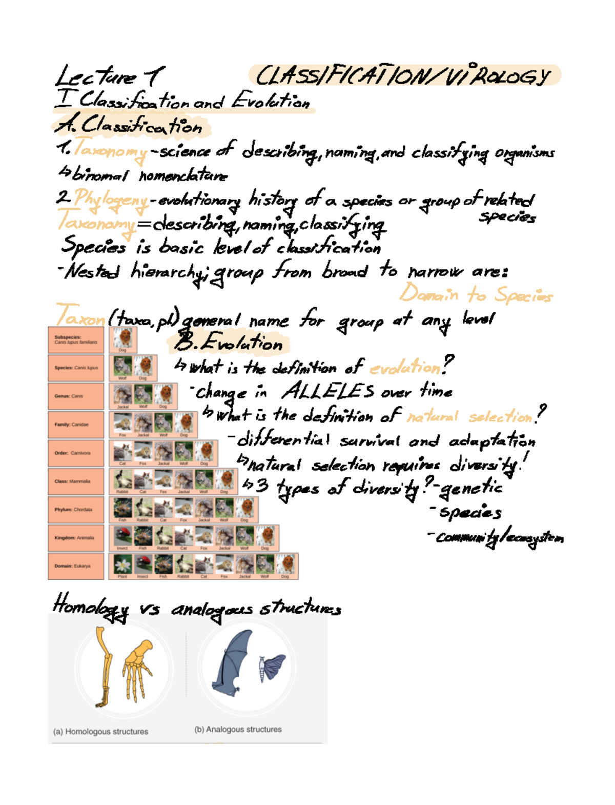 Topic 1 July 10, 2023 - Lecture 7 CLASSIFICATION VIROLOGY ####### I ...