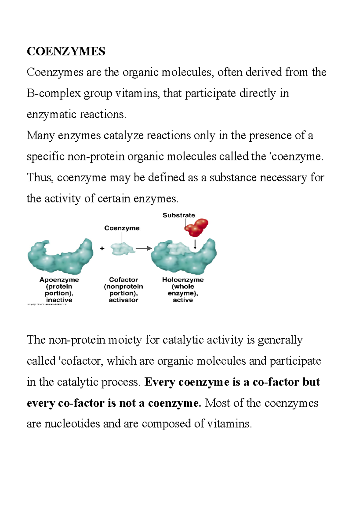 Coenzymes - enzymes - COENZYMES Coenzymes are the organic molecules ...