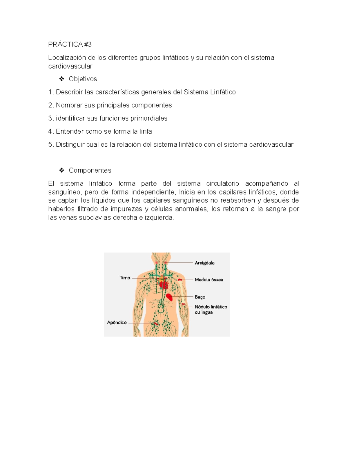 Practica linfa 3 - PRÁCTICA Localización de los diferentes grupos ...