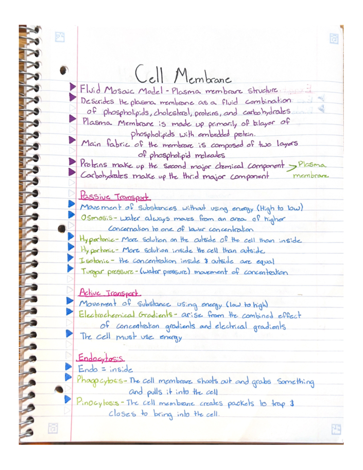 Cell Membrane - BIOSC 0150 - Pitt - Studocu