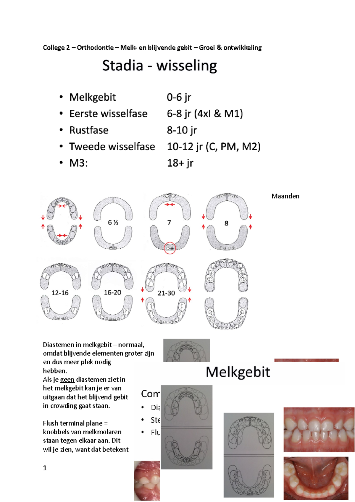 College 2 – Orthodontie – Melk- en blijvende gebit – Groei ...
