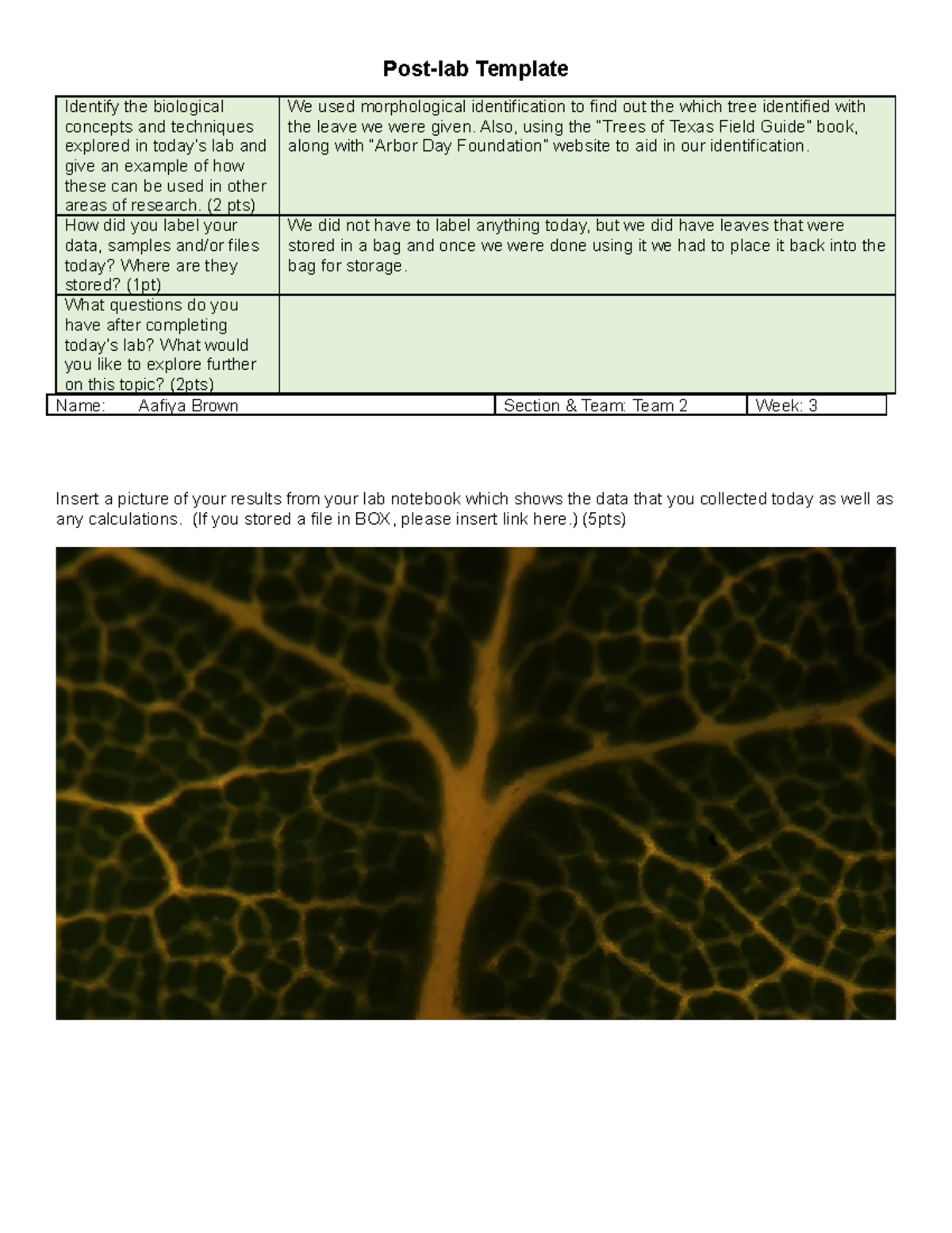 BIO 1105 Post-lab Assignment Day 3 (Summer) - Post-lab Template ...
