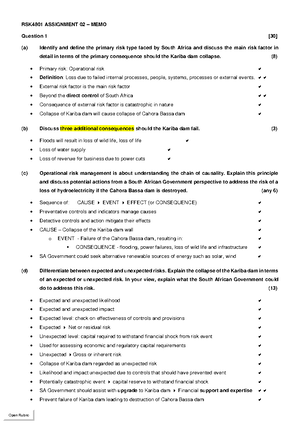 MNG4801 business assignment 1 - MNG4801/101/0/ ANNEXURE C: DECLARATION ...