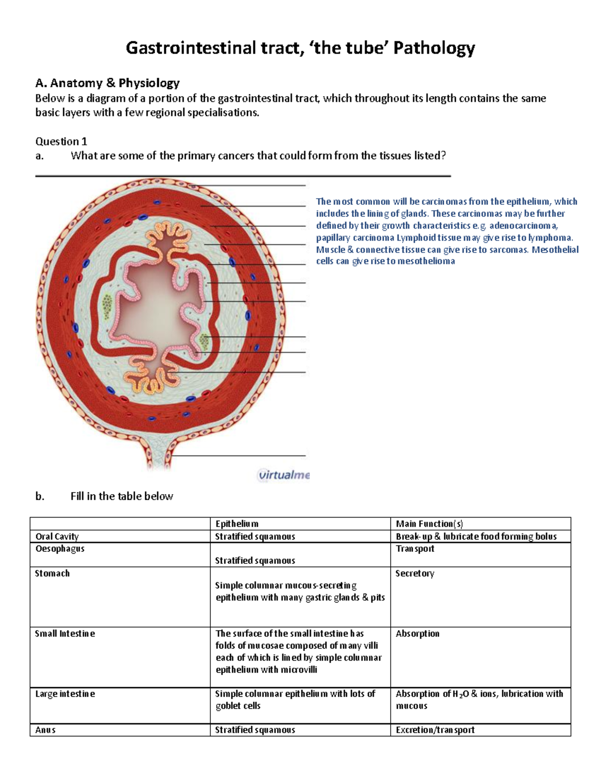 Practical - gastrointestinal tract, ‘the tube’ pathology ...
