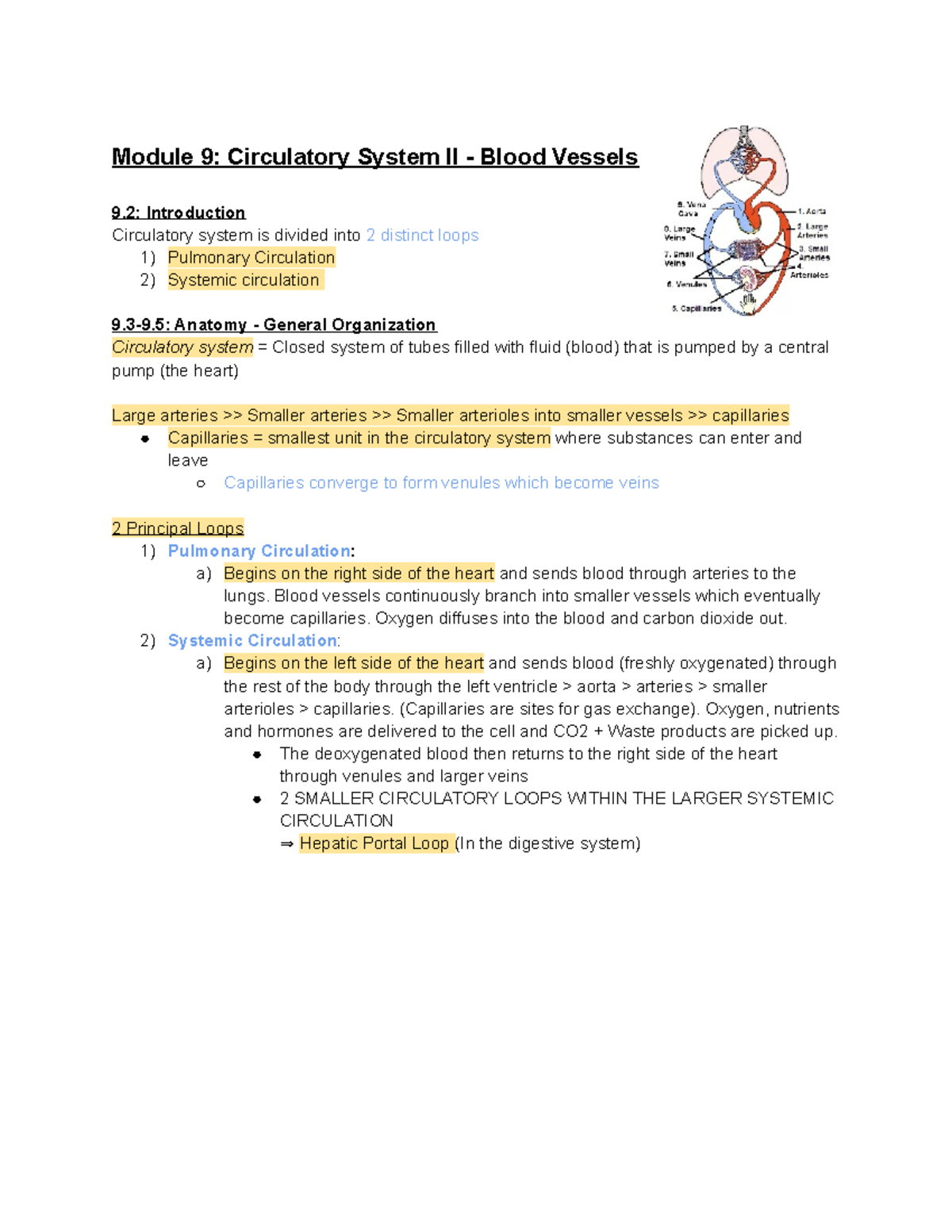 Physiol 2130 Module 9—Circulatory System - Module 9: Circulatory System ...