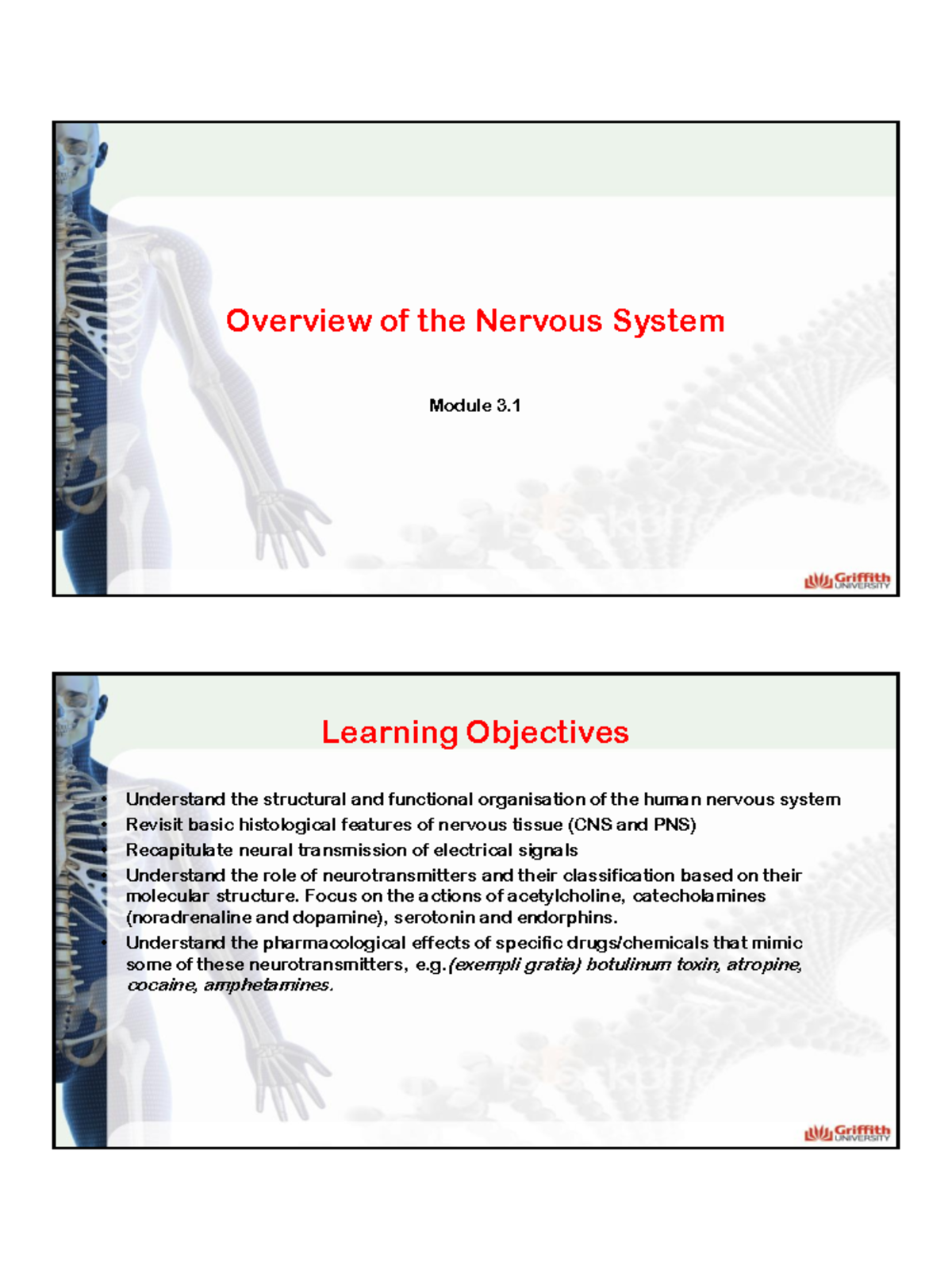 Introduction to Nervous System - Overview of the Nervous System Module ...