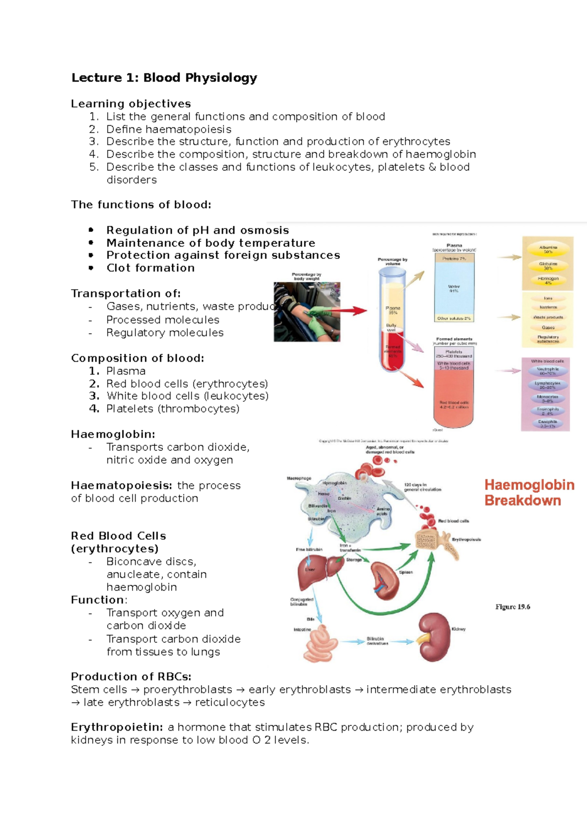 Lecture 1- blood physiology - Lecture 1: Blood Physiology Learning ...