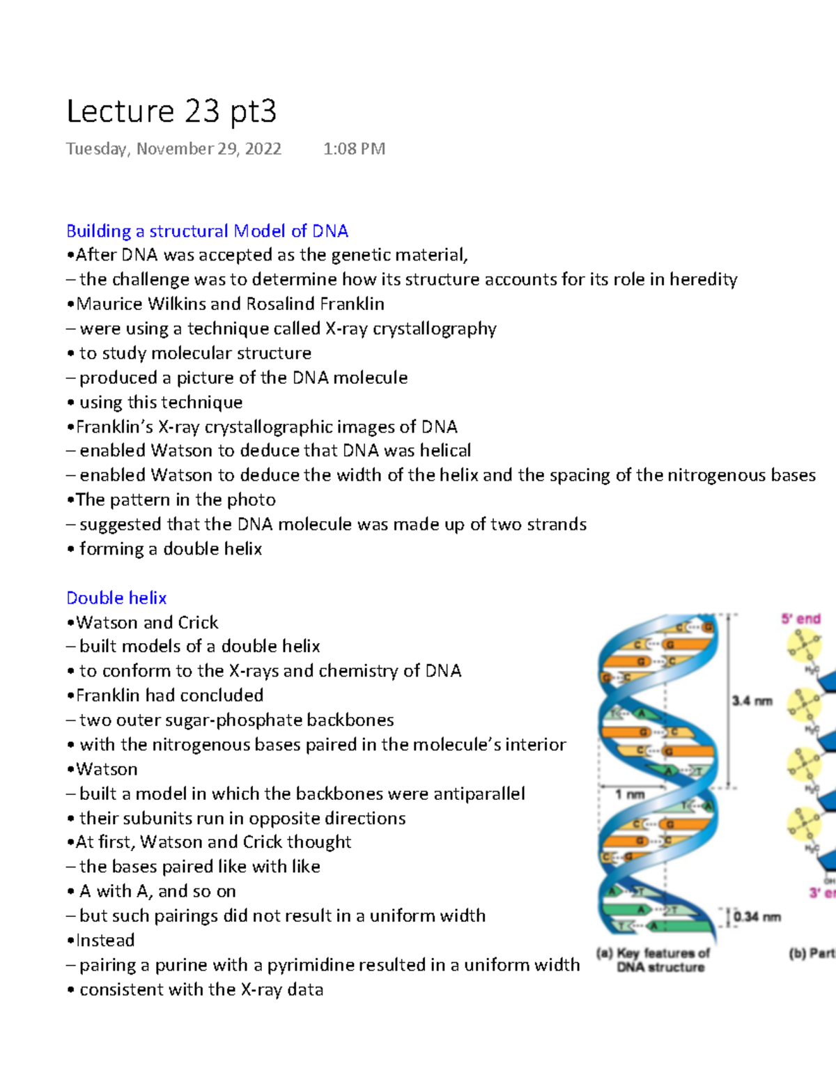 Lecture 23 pt3 - Building a structural Model of DNA •After DNA was ...
