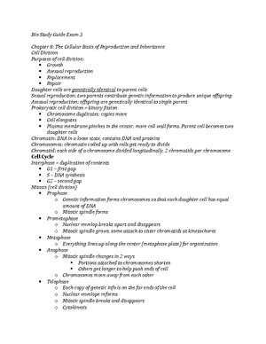 Biology Chapter 6 Notes - Cellular Respiration Know respiration ...
