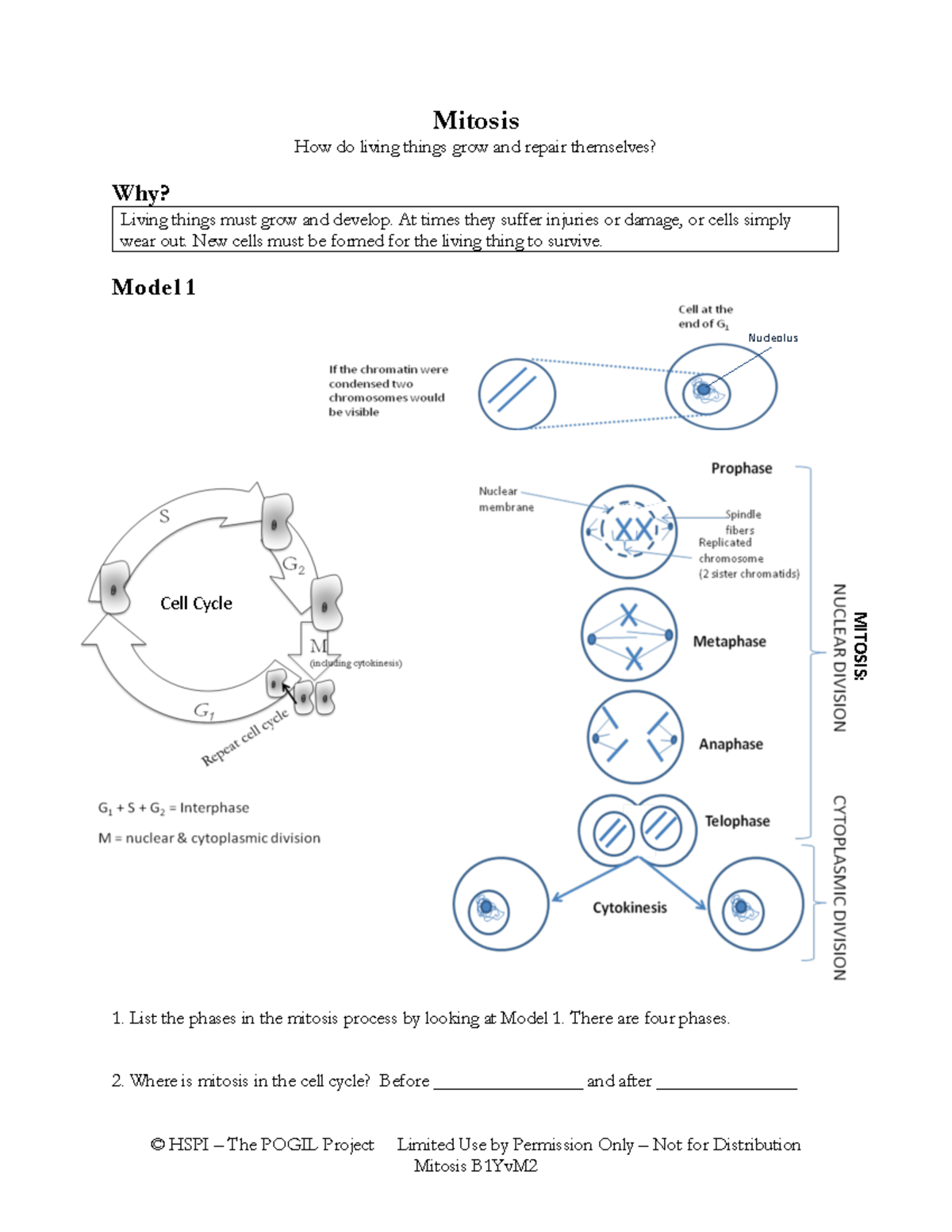 Mitosispogil - student - How do living things grow and repair ...