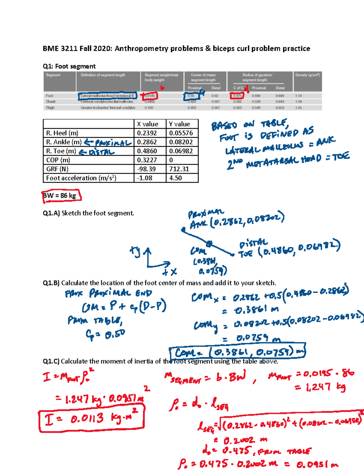 BME3211 2020-09-22 anthro biceps curl practice solns v2 - BME 3211 Fall ...