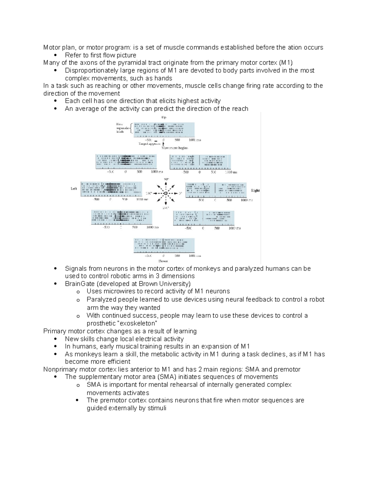 Motor plan notes - Motor plan, or motor program: is a set of muscle ...