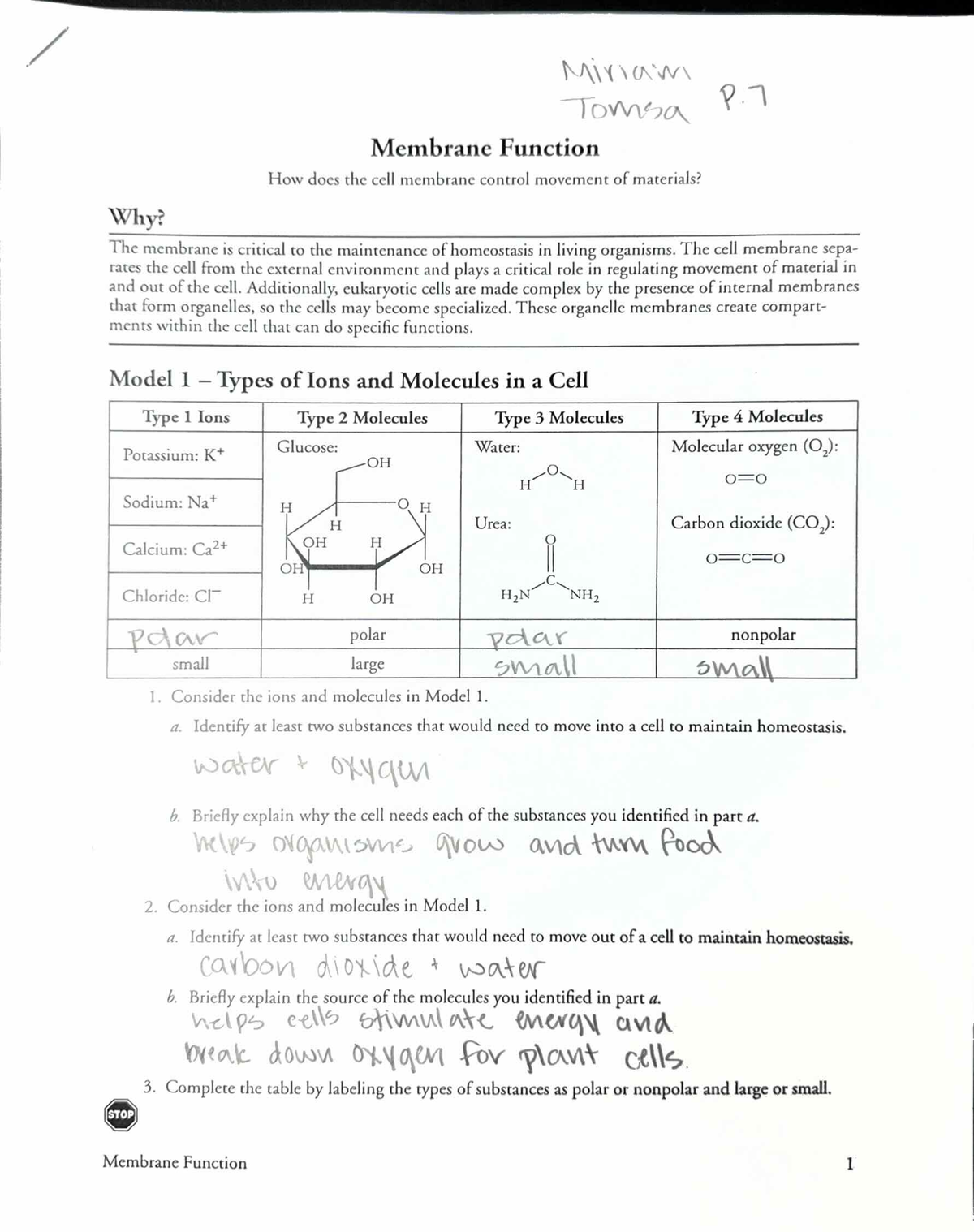 Membrane function - Studocu