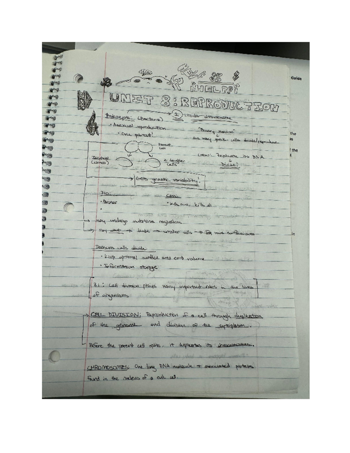 Bio notes - Pearson - Campbell Biology - Chapter 8: Reproduction - Studocu