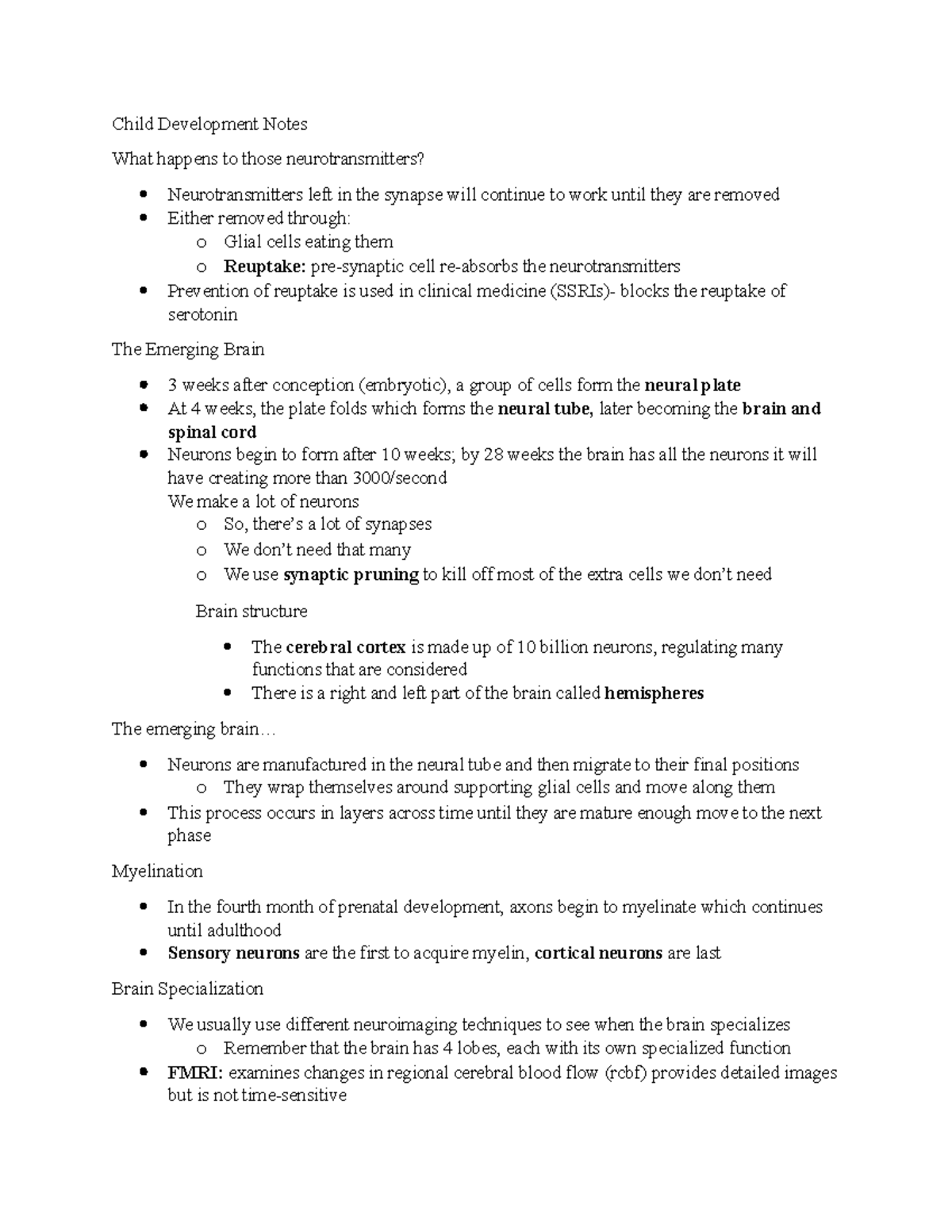 Nervous system development notes - Child Development Notes What happens ...